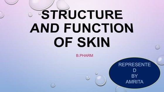 Structure and functions of the skin | PPT