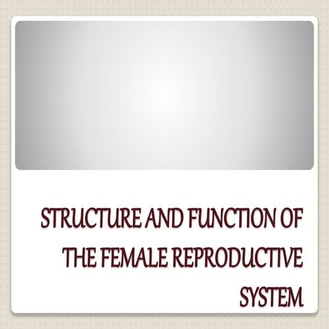 STRUCTURE AND FUNCTION OF THE FEMALE REPRODUCTIVE SYSTEM.pptx ...