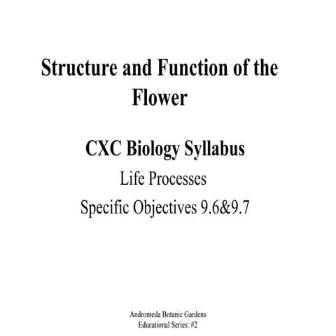 Structure and Function of the Flower PowerPoint.ppt