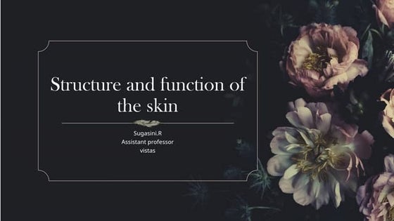 Skin anatomy and physiology | PPT