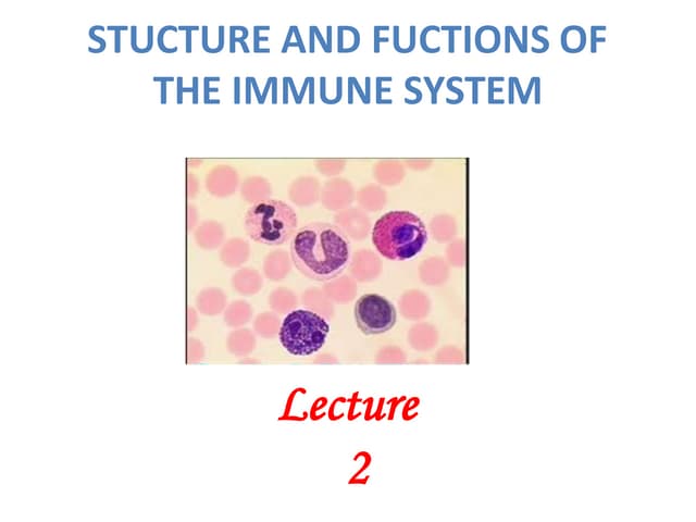 Lymphopoiesis-.ppt