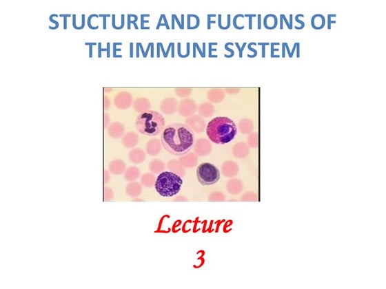 Cells and organs of the immune system | PPT