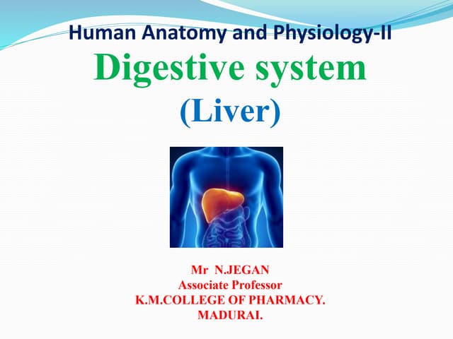 Function of the liver | PPT