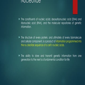 Structure and Functions of Nucleic acids.pptx