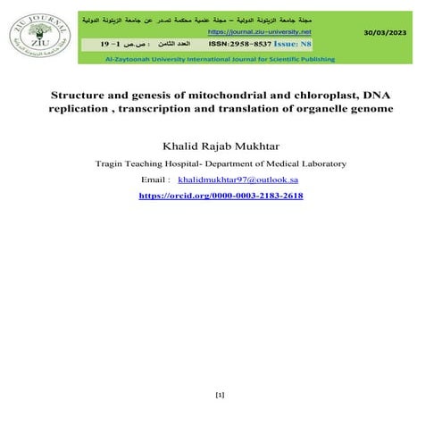 Structure and genesis of mitochondrial and chloroplast, DNA replication ...