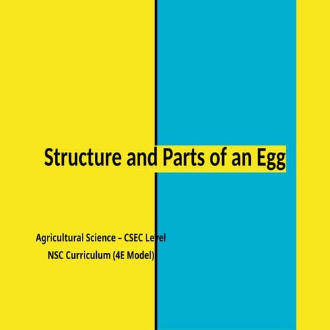 structure and parts of an egg 2025 power point | PPTX