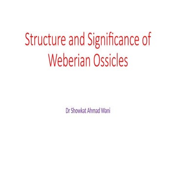 Structure and Significance of Weberian Ossicles .pptx