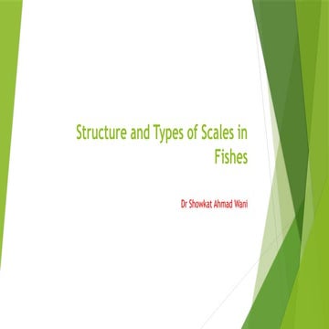 Types of fish scales | PPTX