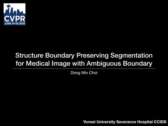 Review Structure Boundary Preserving Segmentation For Medical Image With Ambiguous Boundary Ppt
