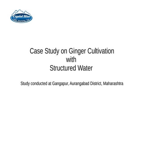 Structured water-case-study-ginger | PDF | Agriculture | Industries
