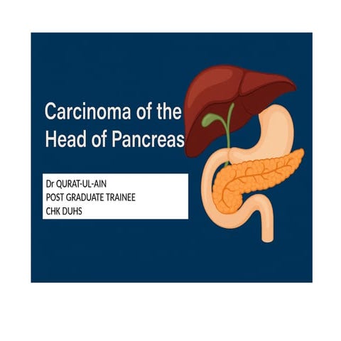 Structured_CA_Head_of_Pancreas_Presentation (1).pptx