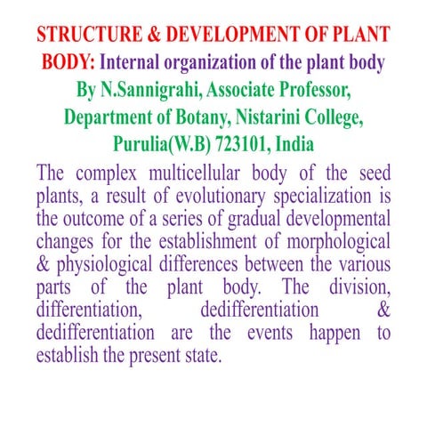 Structure and Development of Plant Body | PDF