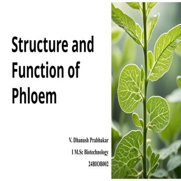 Plant physiology - Structure & function of phloem.pptx