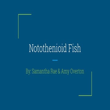 Notothenioid Fish Presentation | PPTX