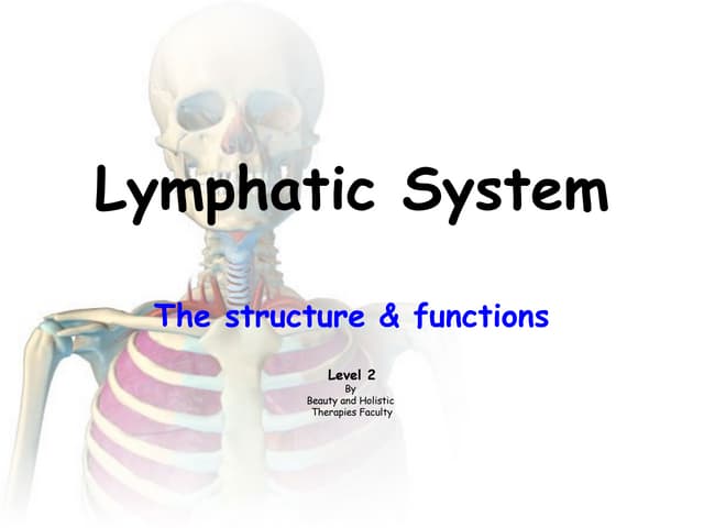Structure And Functions Of Lymphatic System Ppt