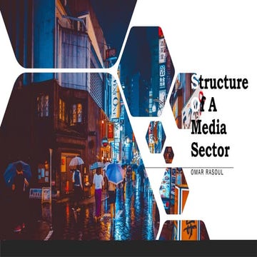 Structure Of A Media sector Presentation.pptx