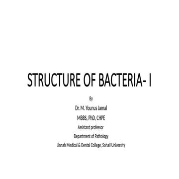 Cell wall of Gram-Positive and Gram-Negative Bacteria | PPTX