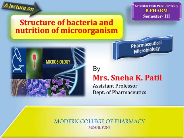 Bacteria structure and function | PPTX