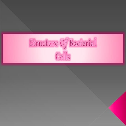Microbiology, structure of bacteria.pptx