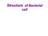 Introduction to microbiology | PPT
