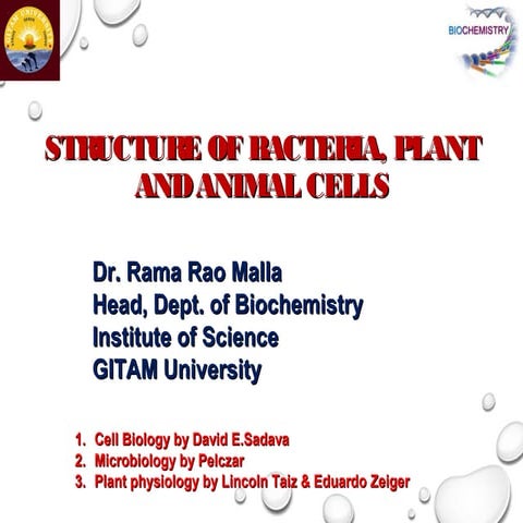 Structure of bacterial, plant and animal cells | PPT