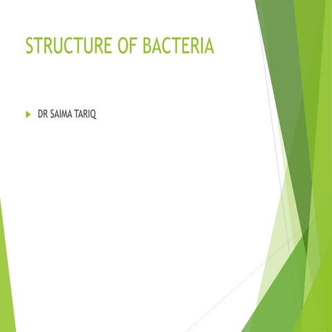 structure of bacteria PPT N.pptx