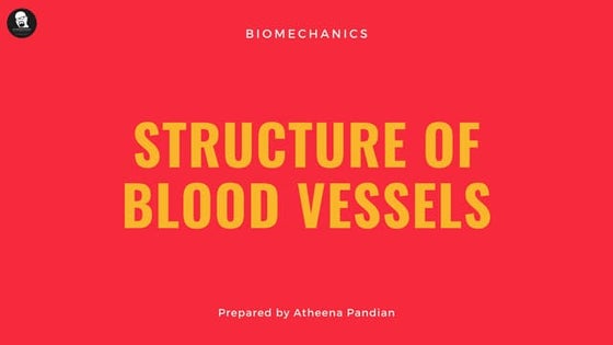 ANATOMY OF BLOOD VESSELS | PPT
