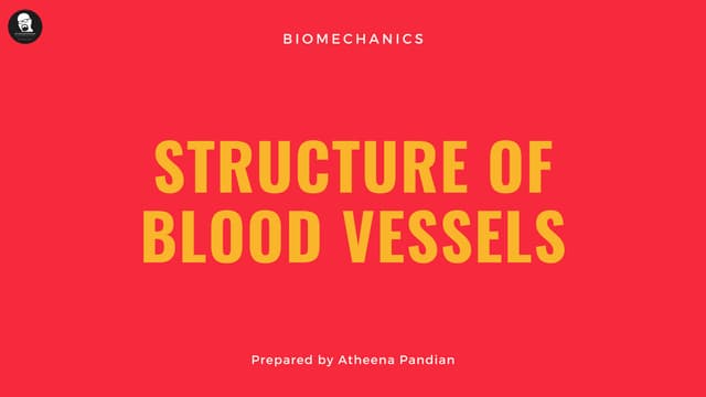 Blood vessels: Arteries, Veins and Capillaries | PPTX