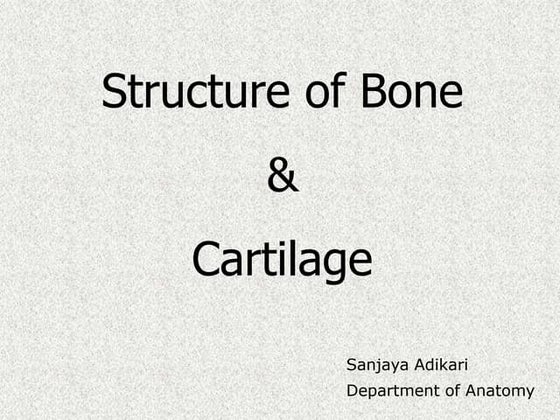 Cartilage and Bone - Dr. Jamal Alvi-1.pptx