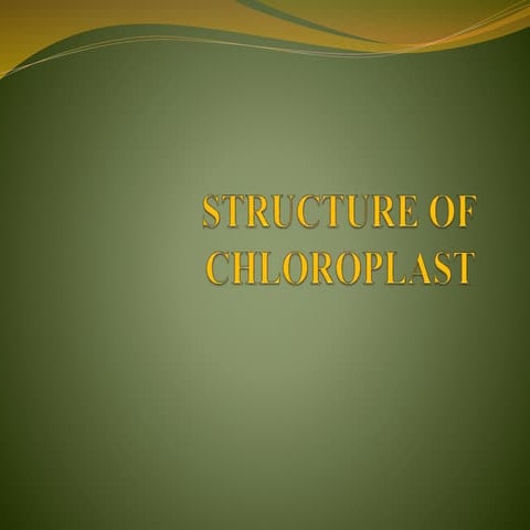 Structure of chloroplast | PPTX