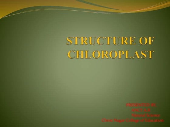 Chloroplast: Structure & functions | PPTX