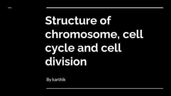 Cell cycle mitosis | PDF