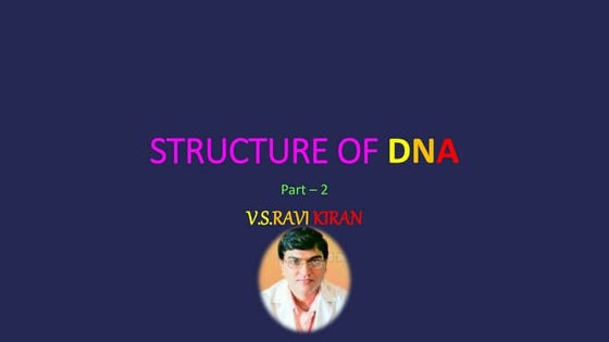 DNA Structure PowerPoint | PPT