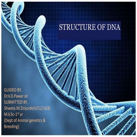 STRUCTURE OF DNA.pptx