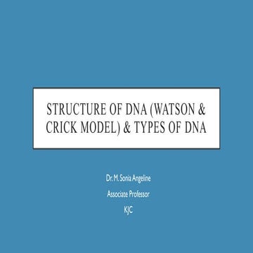 Structure of DNA- Types and functions of DNA | PDF