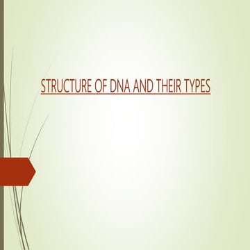 STRUCTURE OF DNA AND THEIR TYPES.pptx