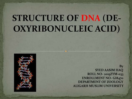 Dna structure | PPT