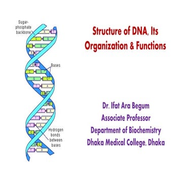 Structure of dna, its organization & functions, july 2020 | PPT