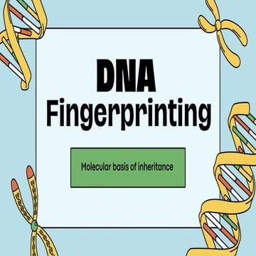 Presentation Slip System | PPTX