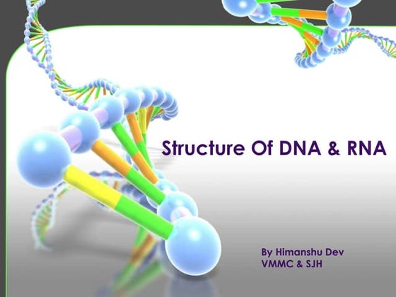 DNA structure - double helix structure | PPTX