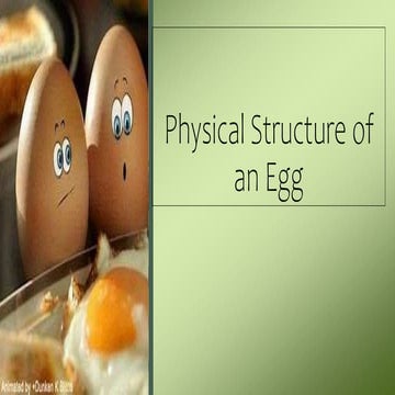 Lesson 6 Physical Structure and Composition of Egg | PPTX