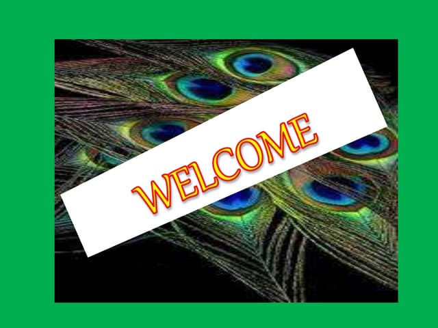 The eye (sense of sight organ) | PDF