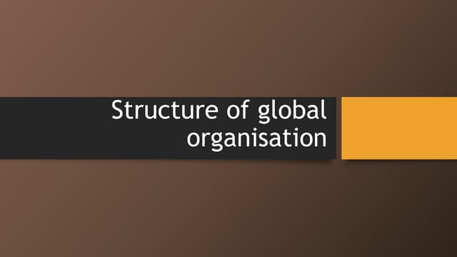 Organisational structure in MNCs | PDF