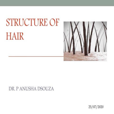Structure of hair | PPTX