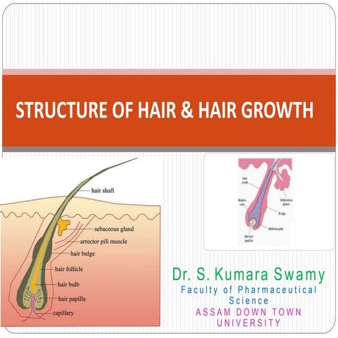 Structure of Hair & Hair Growth by Samanthula.pdf
