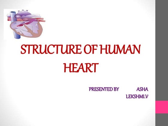 Sructure of heart | PPT