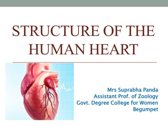 The Human Heart | PPT