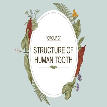 STRUCTURE OF HUMAN TOOTH oral bio (1).pptx
