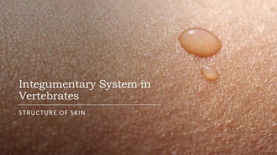 BODY TISSUE & STRUCTURES.pptx