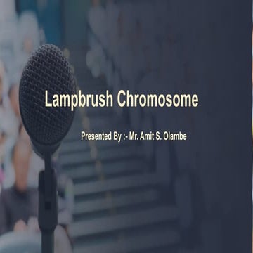 Structure of Lampbrush Chromosome.pptx